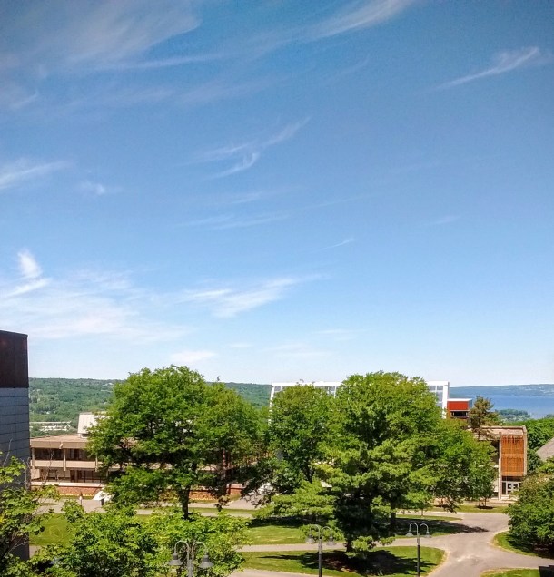 IHS 48 Report No. 4 – James Boldin's Horn World